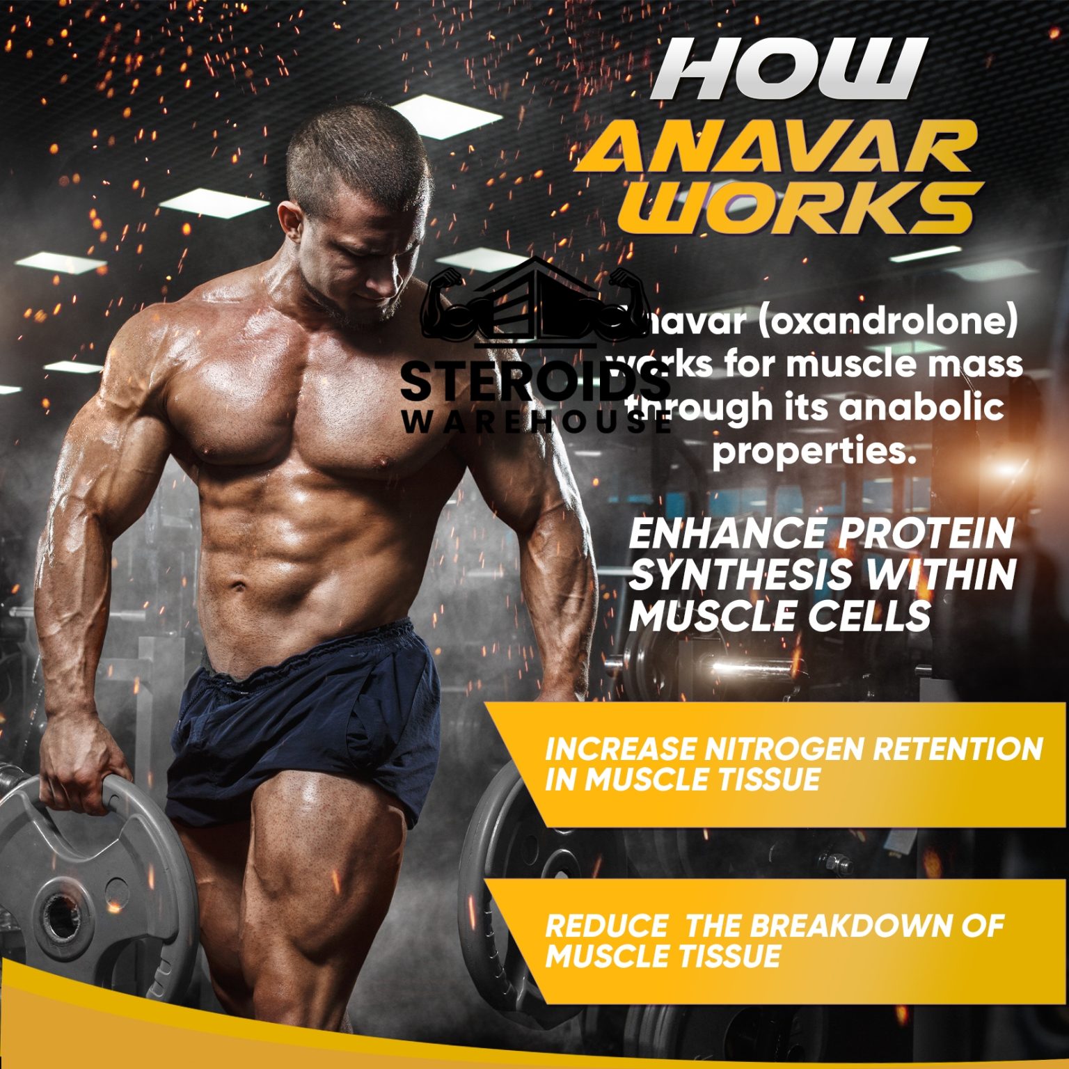 Buy Anavar - 50mg – Steroids Warehouse - Online - USA Delivery