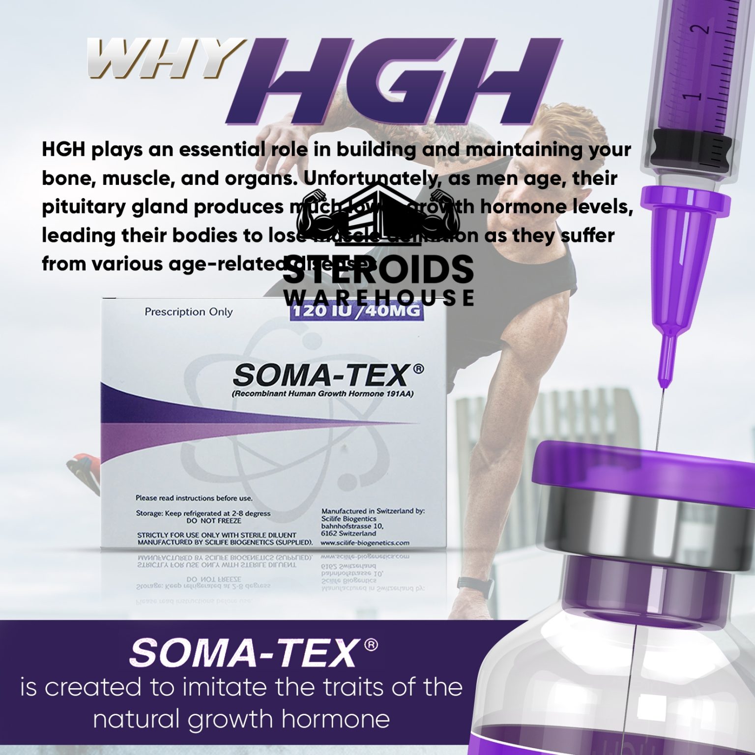 Buy HGH – Steroids Warehouse